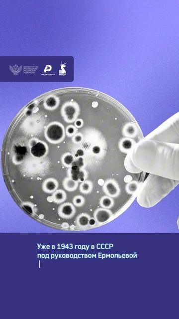 #НаукойПриближаяПобеду №1