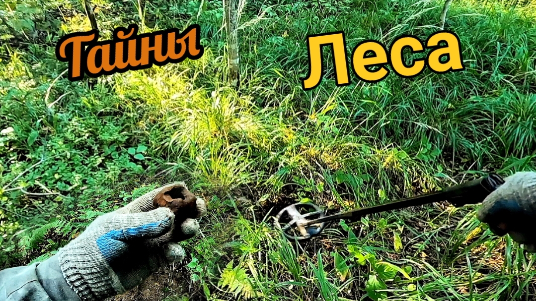 Лесные находки радуют! А коп не задался..