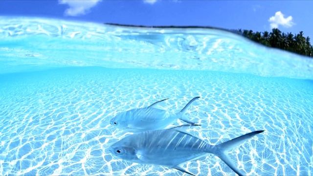 Mr.Nobody - Movement