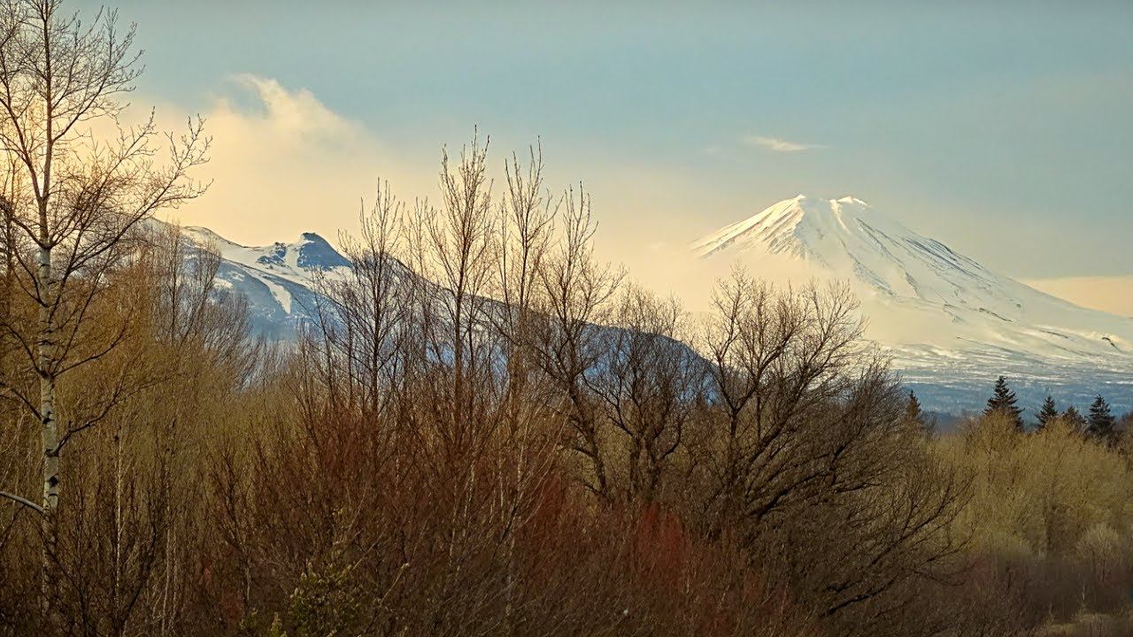 8 часов звуков природы для сна — ветер в кронах деревьев | шум ветра без музыки