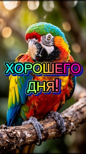 Хорошего дня!
