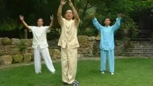 13. Золотая цикада сбрасывает оболочку Ли Чжэн