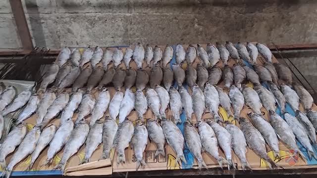 Хроника происшествий за 26 января 2026 года