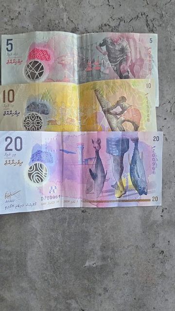 Мальдивские руфии, оборотная сторона