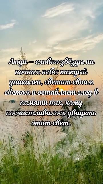 #мысли #цитаты #katyboro #рекомендации #рек #топ #афоризмы