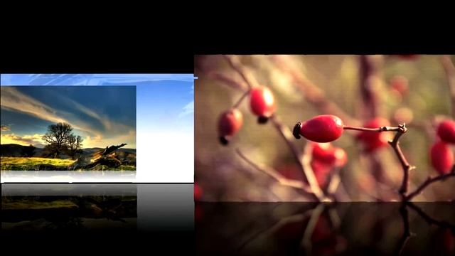 Mr.Nobody - Moments of Silence