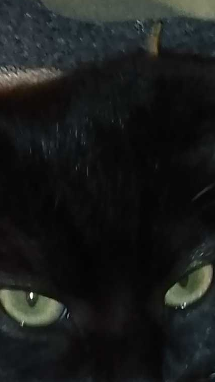 я так в первый раз готовил 🤣