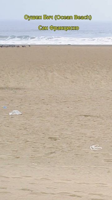Оушен-Бич (Ocean Beach)