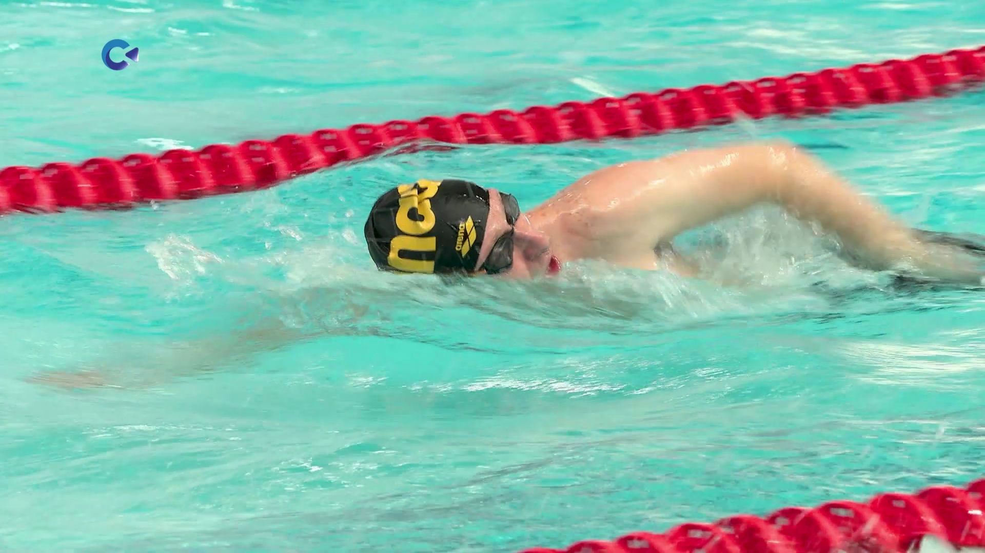 Карельские «динамовцы» сразились в чемпионате по плаванию в Петрозаводске