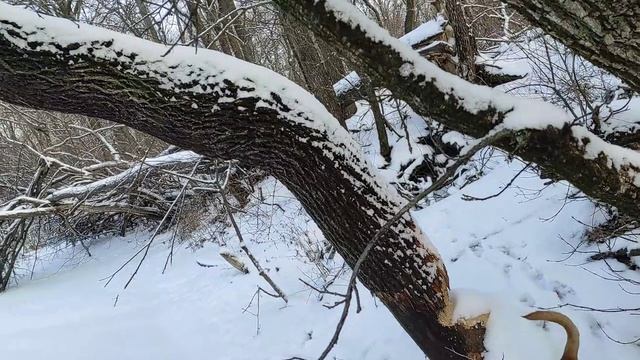 Старобельск река Белая Айдар Umar_Keyn-Lovestory