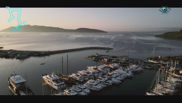 СТРЕЛЕЦ Гороскоп Февраль 2026 год. #music #astrology #electronicmusic #2026 #Мария_Оракул