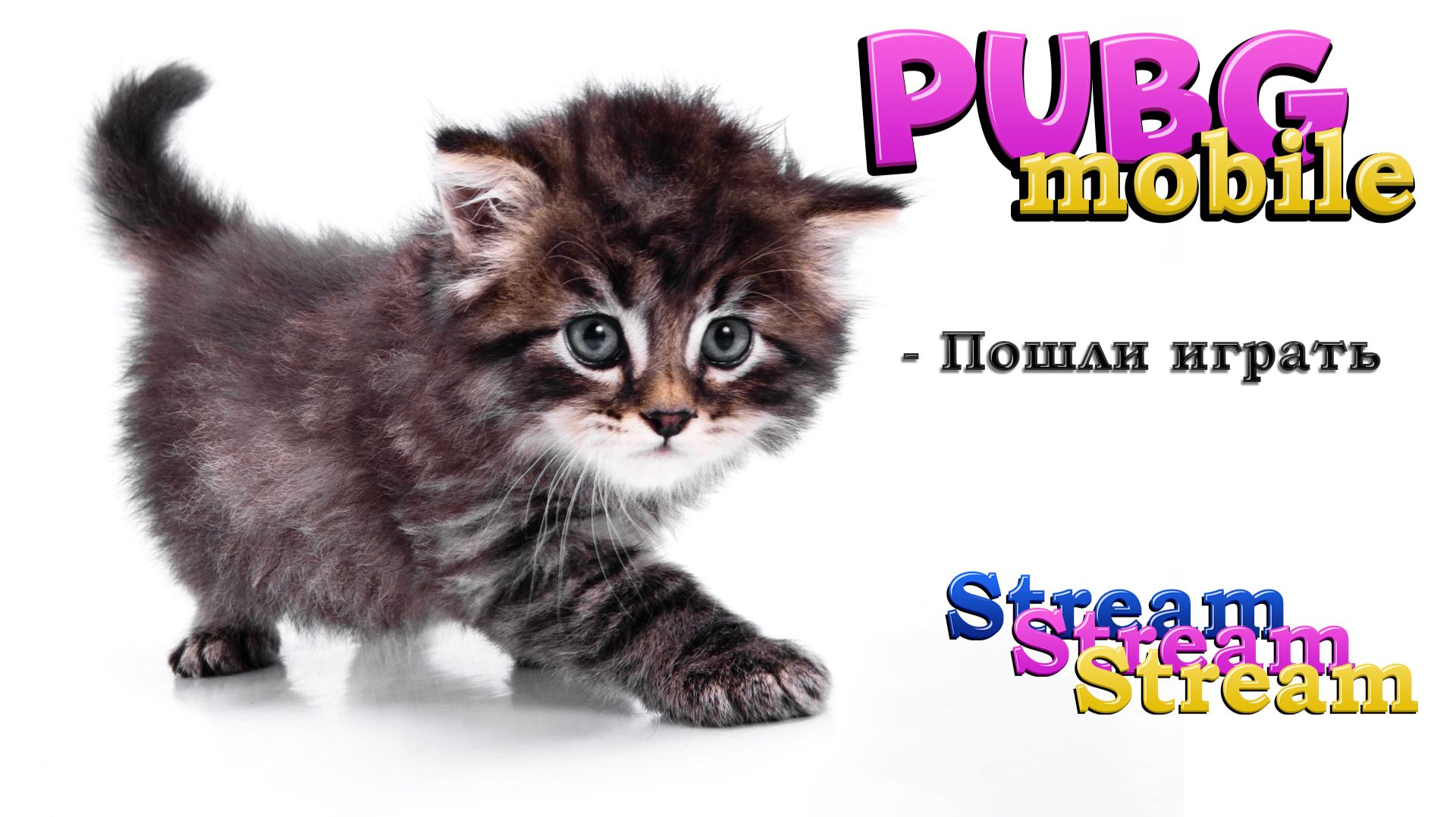 Стрим_PUBG mobile_Котик_Пошли играть
