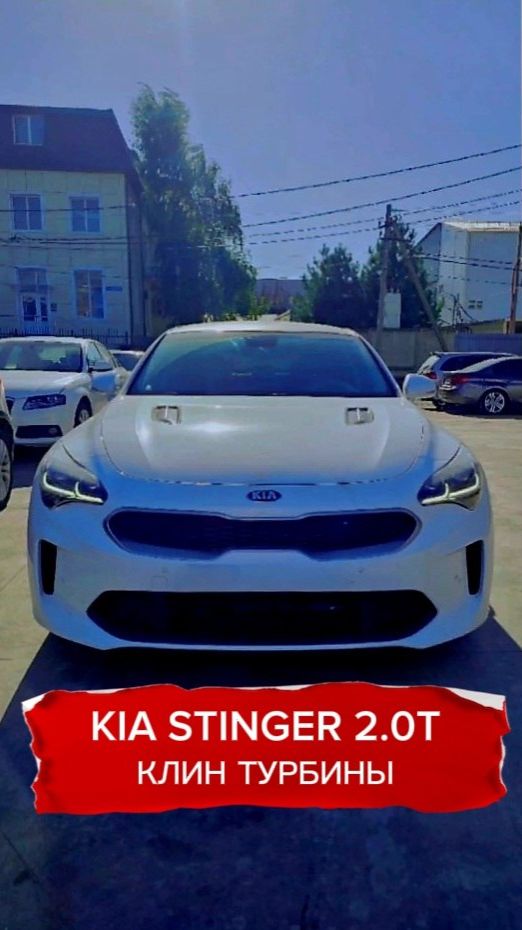 Kia Stinger 2.0 Turbo 2018 Заклинила турбина - причина