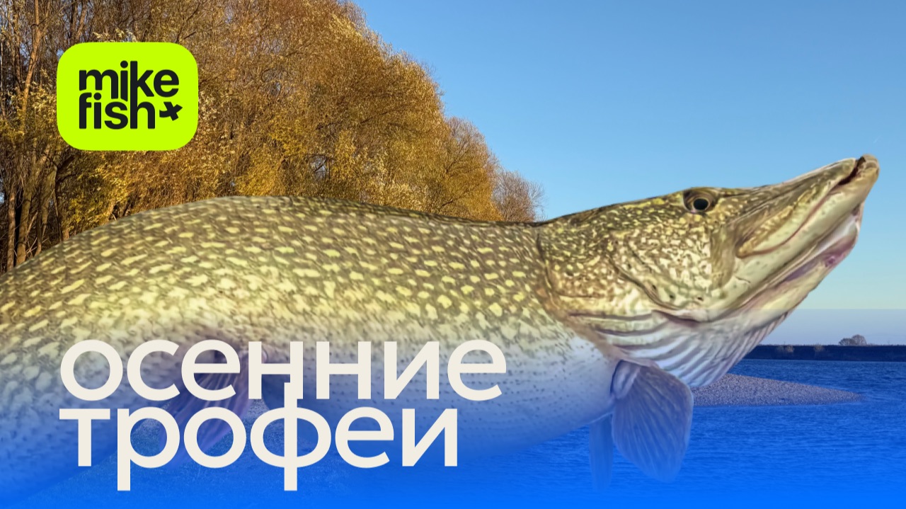 Шикарные трофеи на закрытии сезона. 13+ щука руками в лодку без подсака.