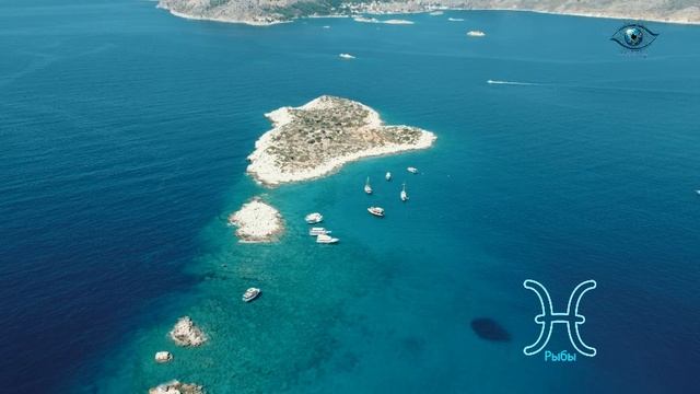 РЫБЫ Гороскоп Февраль 2026 год. #music #astrology #electronicmusic #2026 #Мария_Оракул