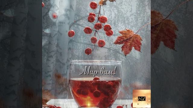 "Листопады"  Стас Михайлов 1000376582.mp4