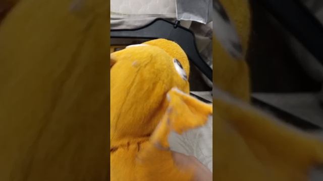 5 серия Алиянс бумаги матирик животных 2 часть битвы