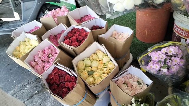 Цветы во Вьетнаме по цене чашки кофе😃