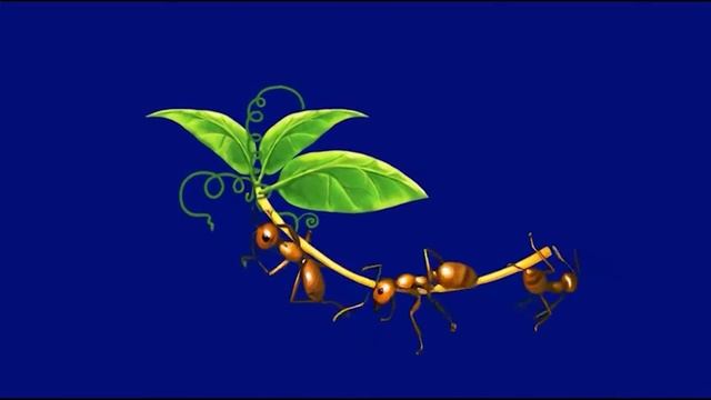 муравьи 02_encoded