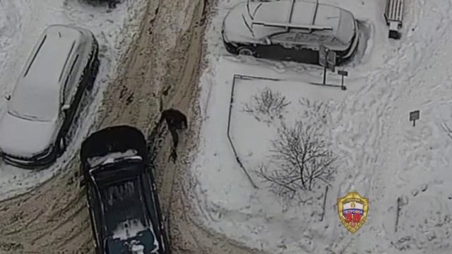 Полицейские на юге столицы задержали подозреваемого в хулиганстве