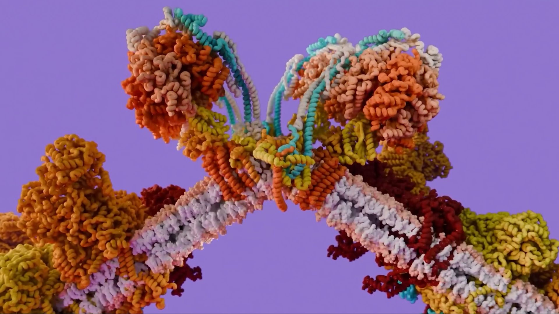 Как действует кофеин