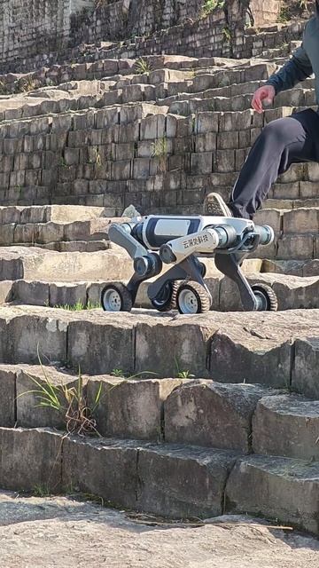 DEEP Robotics LYNX M20