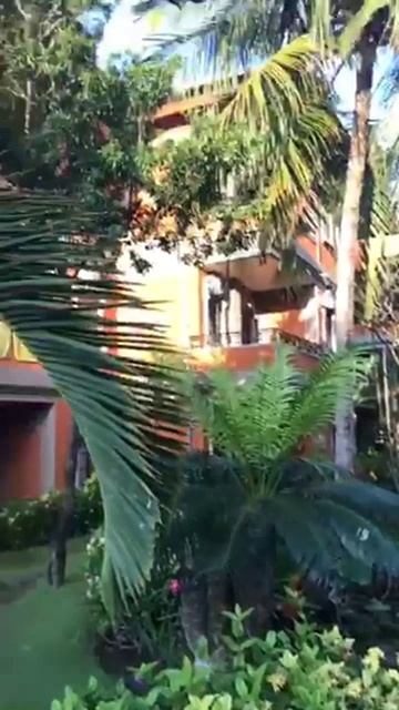 Утро на Бали (90)