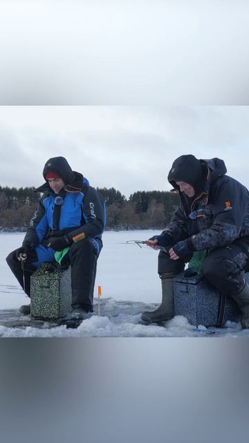 Душевная рыбалка на леща! Ссылка на видео в описании.