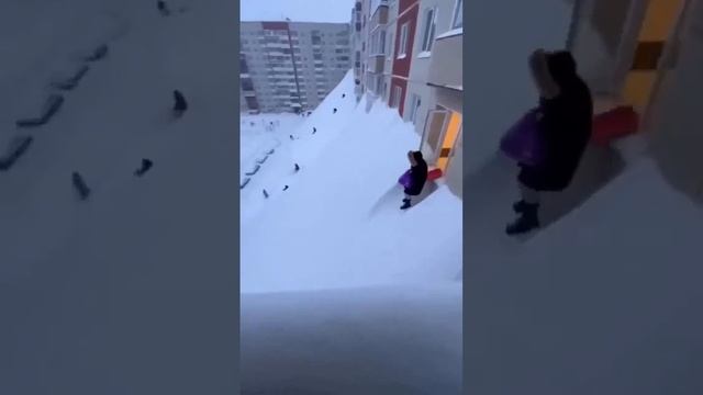 Камчатка коллапс