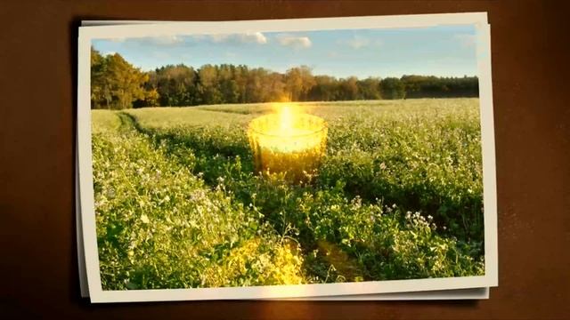 Mr.Nobody - Stream of Sensibleness