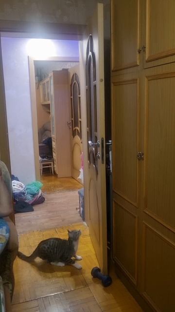 Развели на слабо