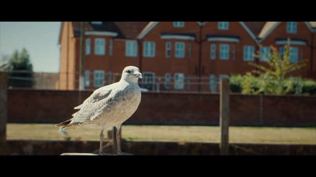 WW1 Max's family 1 3 SB page 14