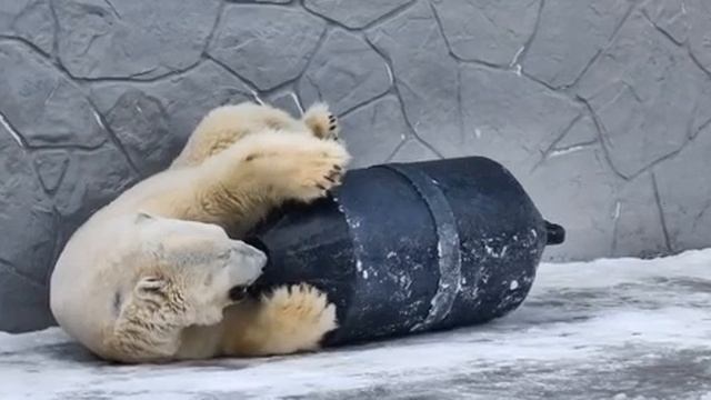 🌟 И снова на сцене любимец публики Айон!