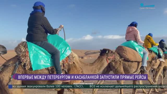 Между Петербургом и Касабланкой открыли прямое авиасообщение