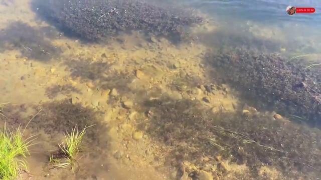 Кочевой минимализм