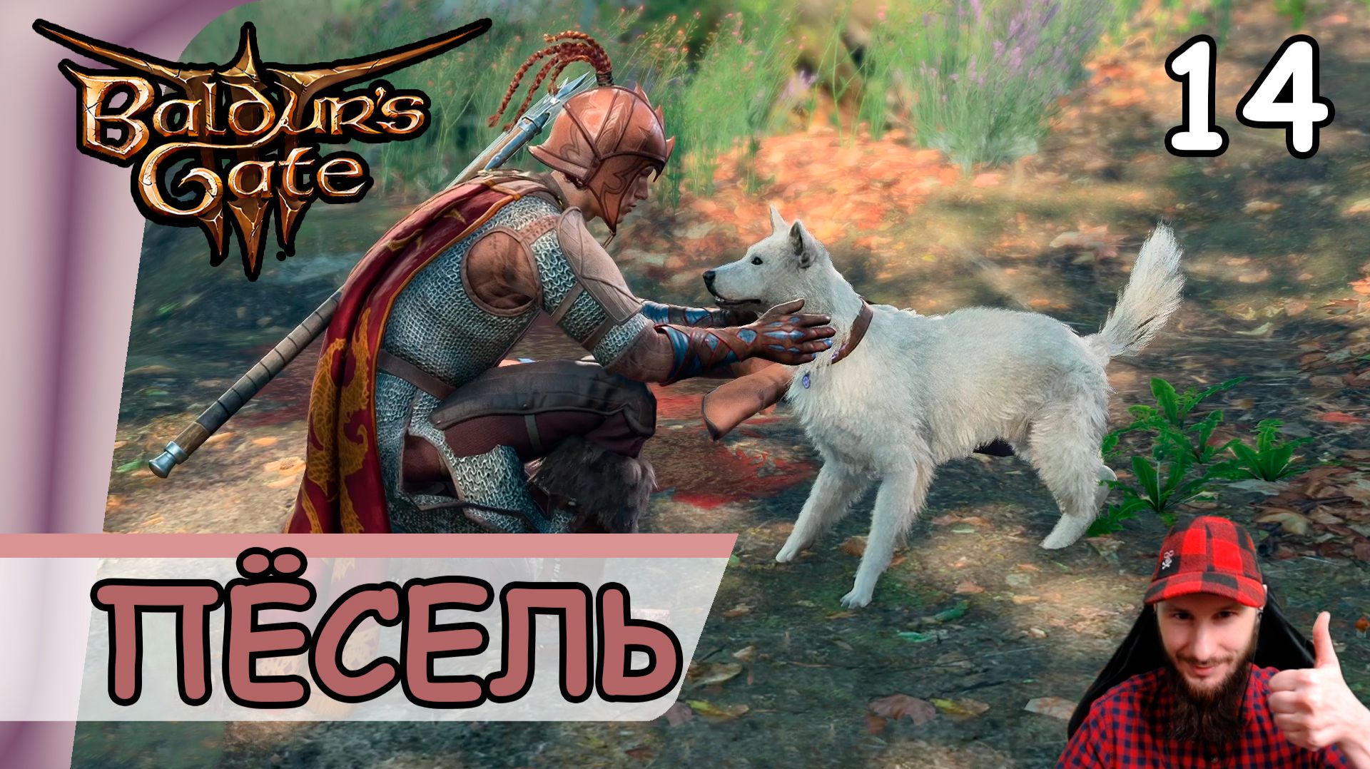 Baldur′s Gate 3 ➤ Пёс Шкряб #14 ➤ Прохождение на русском