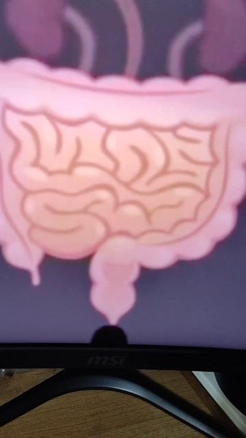 Целостный подход