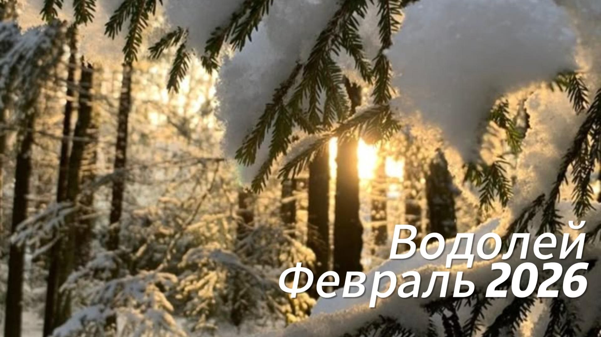 Прогноз для Водолеев на Февраль 2026