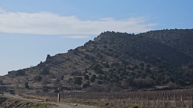 Весёлое (Крым), Пляж - 2