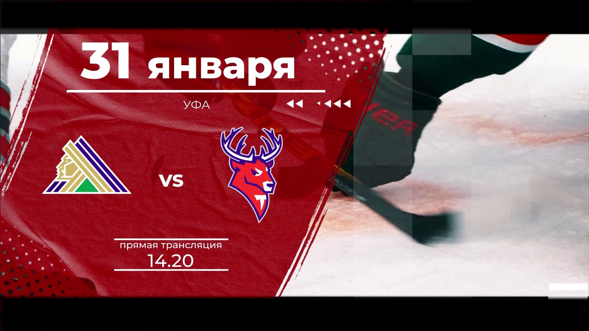 Матч КХЛ "Салават Юлаев" - "Торпедо": следите за игрой на  "Нижний Новгород 24" и на "Маяке"