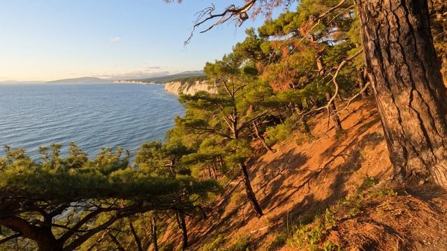 Бухта Голубая бездна. Геленджик.