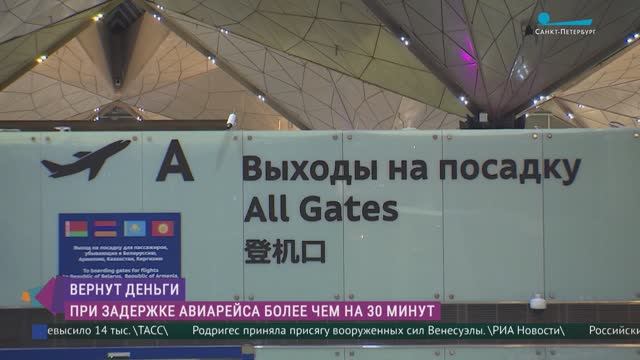 Любимые животные Петра I. Новый проект по исследованию петровских реликвий