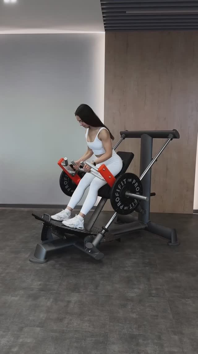 Тренажер TITAN XTREME Наклонная тяга к поясу