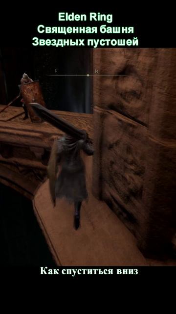 Elden Ring Священная башня Звездных пустошей