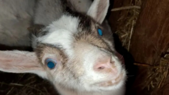 Мы думали уже всё! А оказалось что нет!