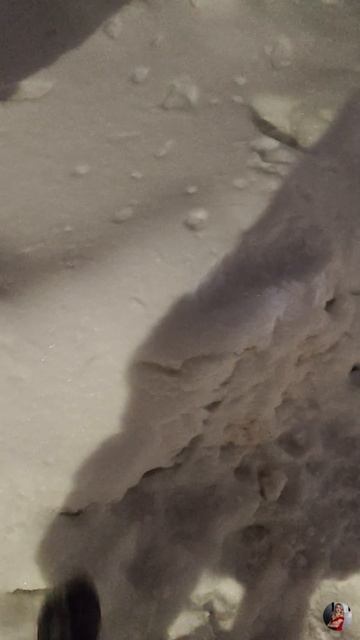 Самый снежный Новосибирск