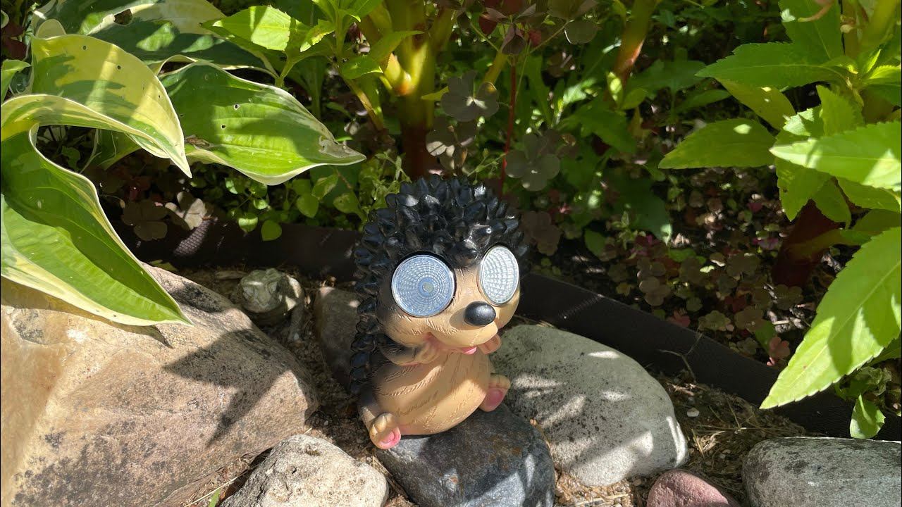 Как дела в деревне? 30.07.21 в беседке поселился сверчок