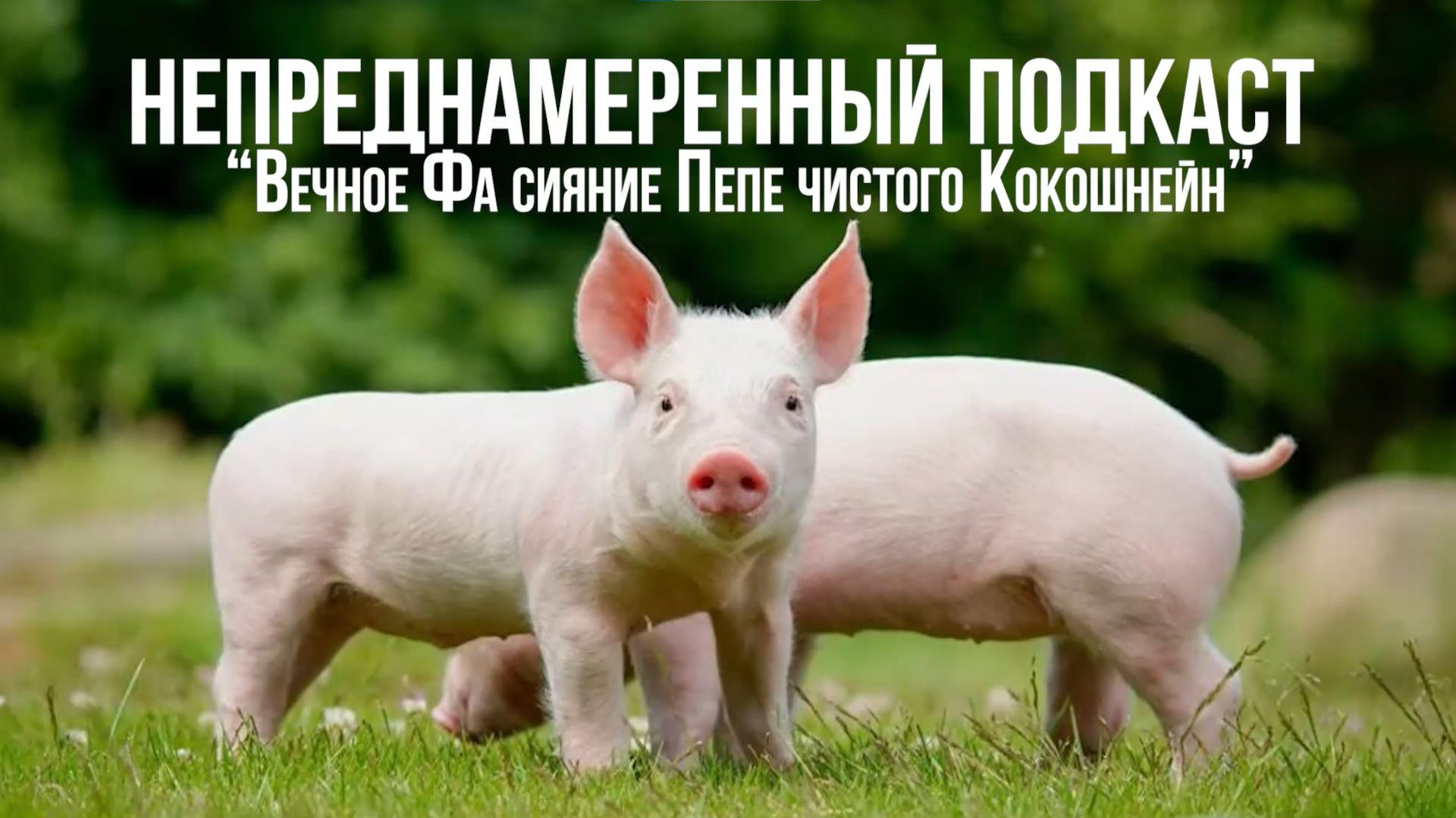 Непреднамеренный подкаст. Выпуск 1. "Вечное Фа сияние Пепе чистого Кокошнейн"