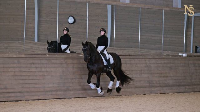JASPER VAN GET RIETVEN