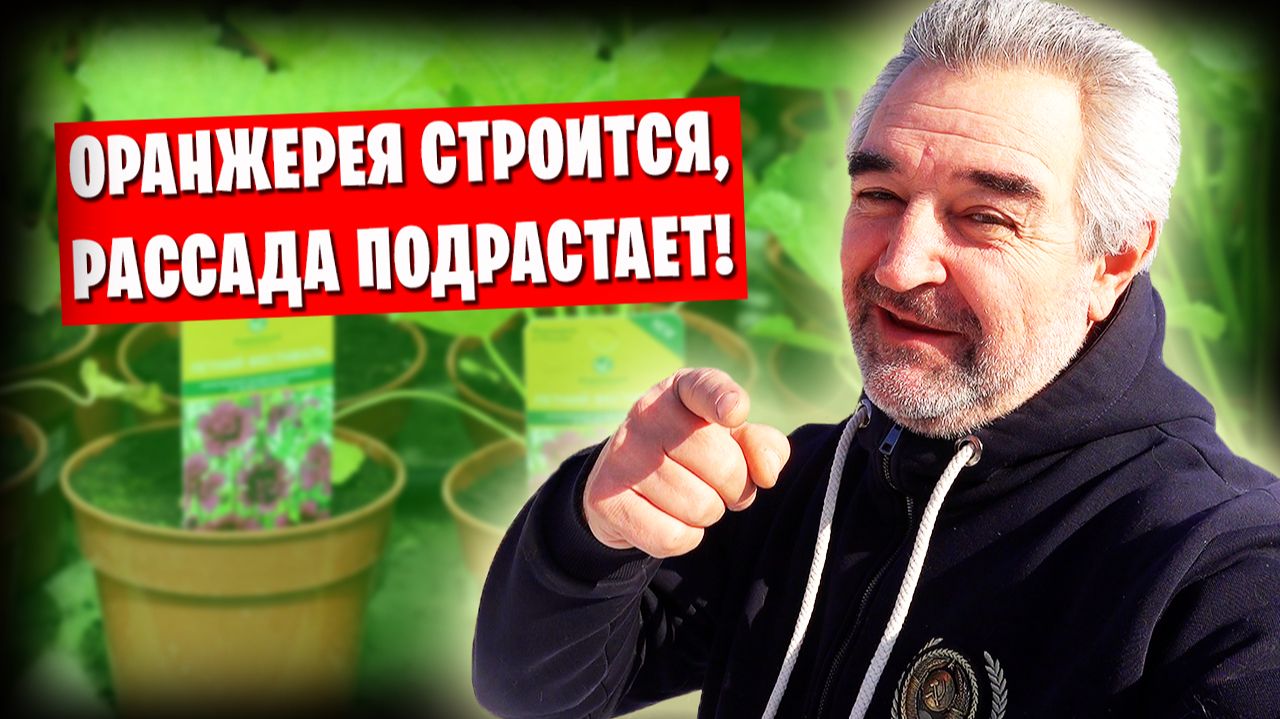 Начинаю посадку растюх / Новости из оранжереи в гараже 😊